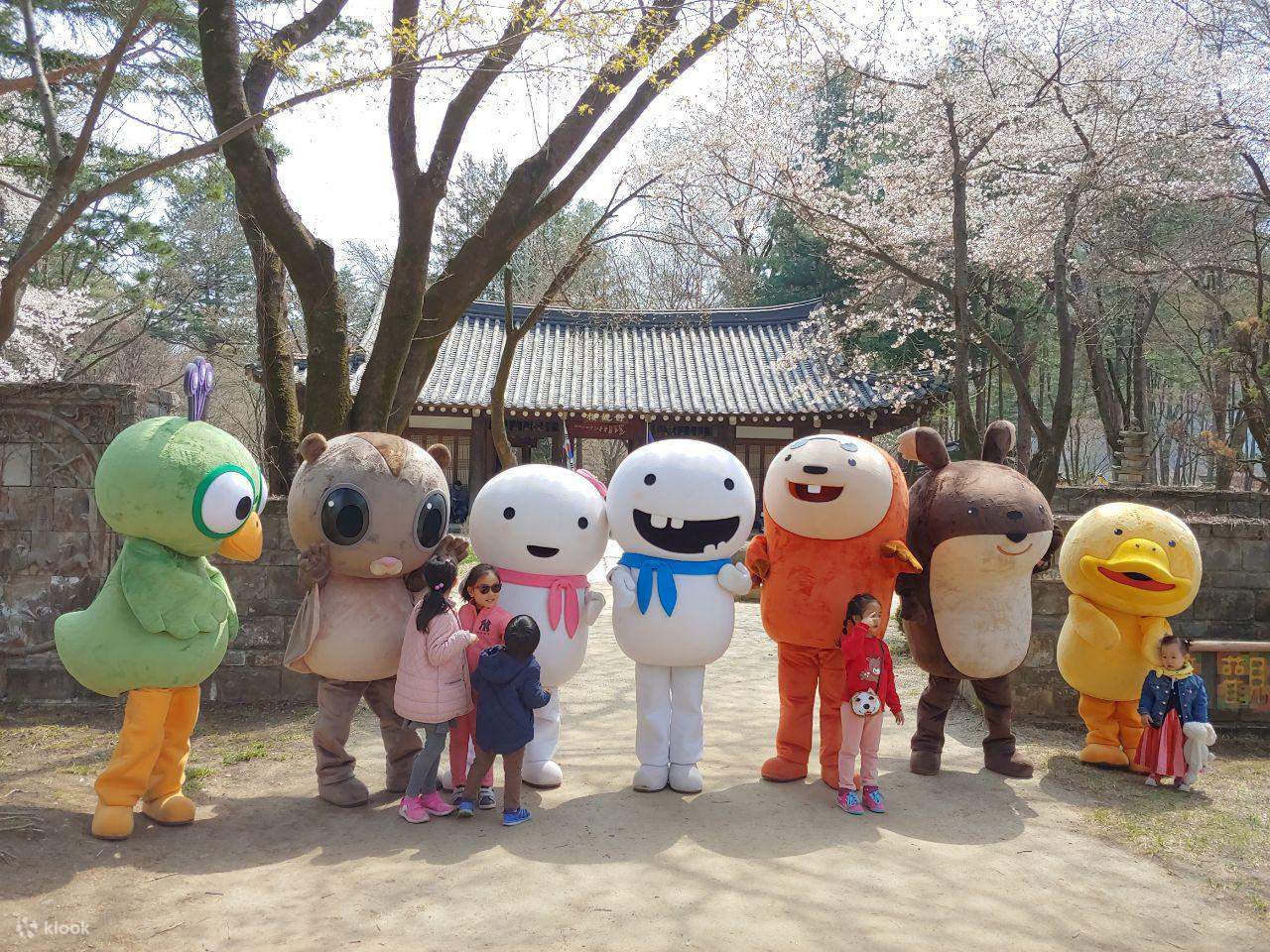 Nami Island Cherry Blossom Viewing from Seoul, South Korea - Klook